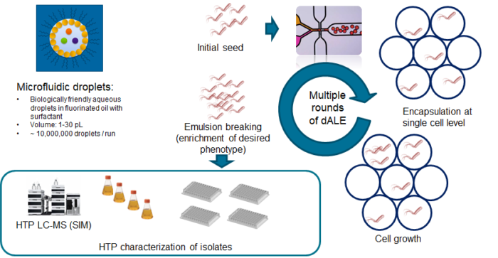 Droplet Adaptive Laboratory Evolution - Agile BioFoundry