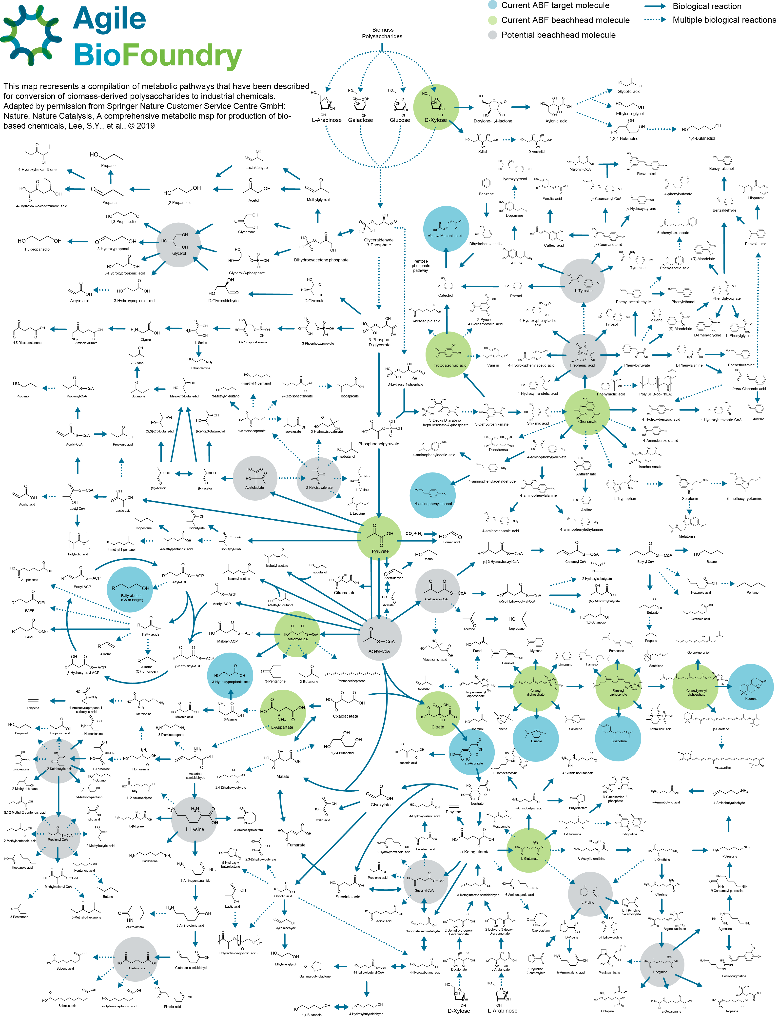 Agile Biofoundry Metabolic Map