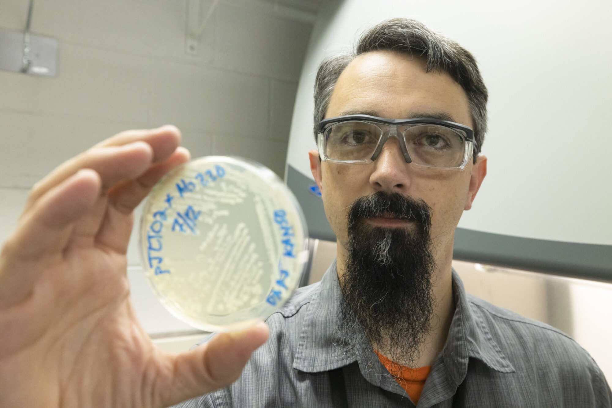 A Wise Tool For Modifying Microbes Agile Biofoundry