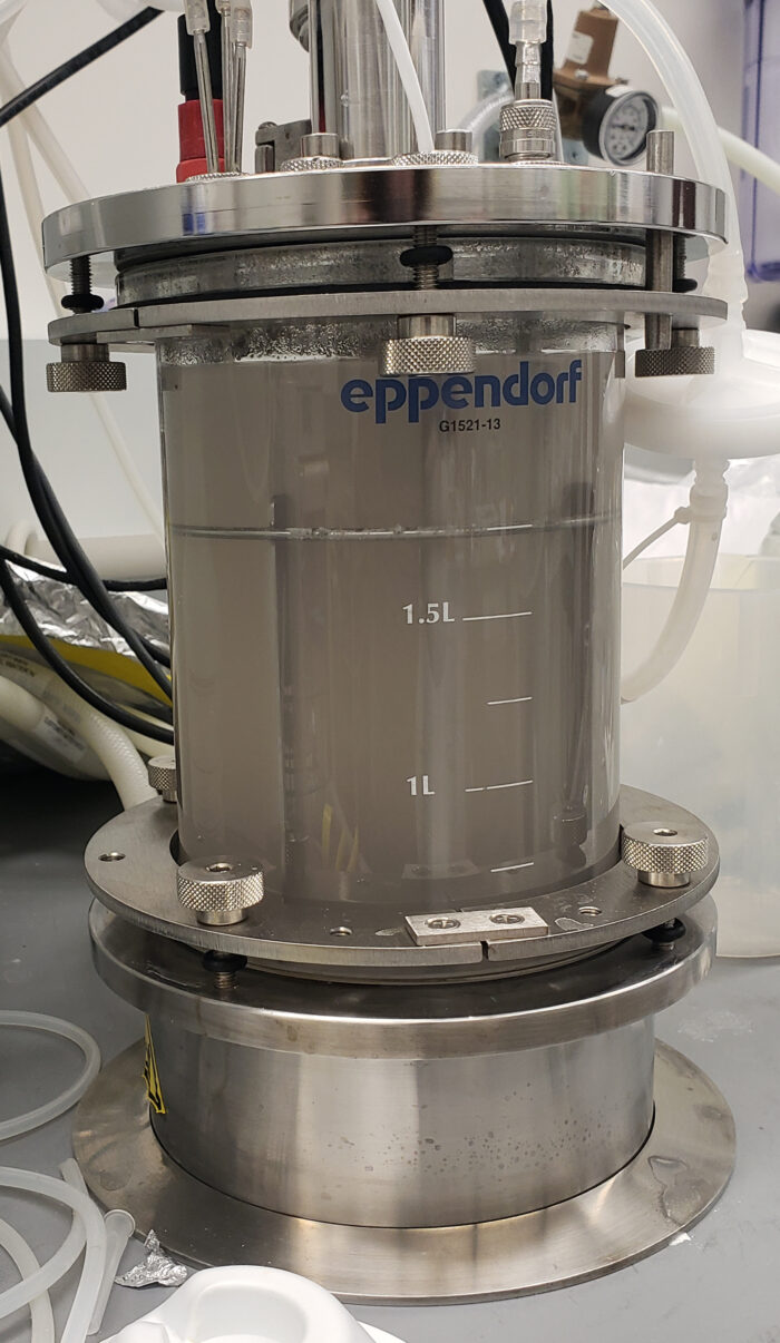 Expanding a Microbe’s Synthetic Biology Toolkit with the University of ...