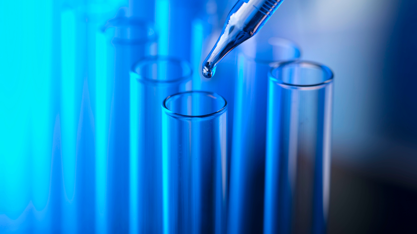 Creating a Sustainable Recombinant Protein Production Platform with ...