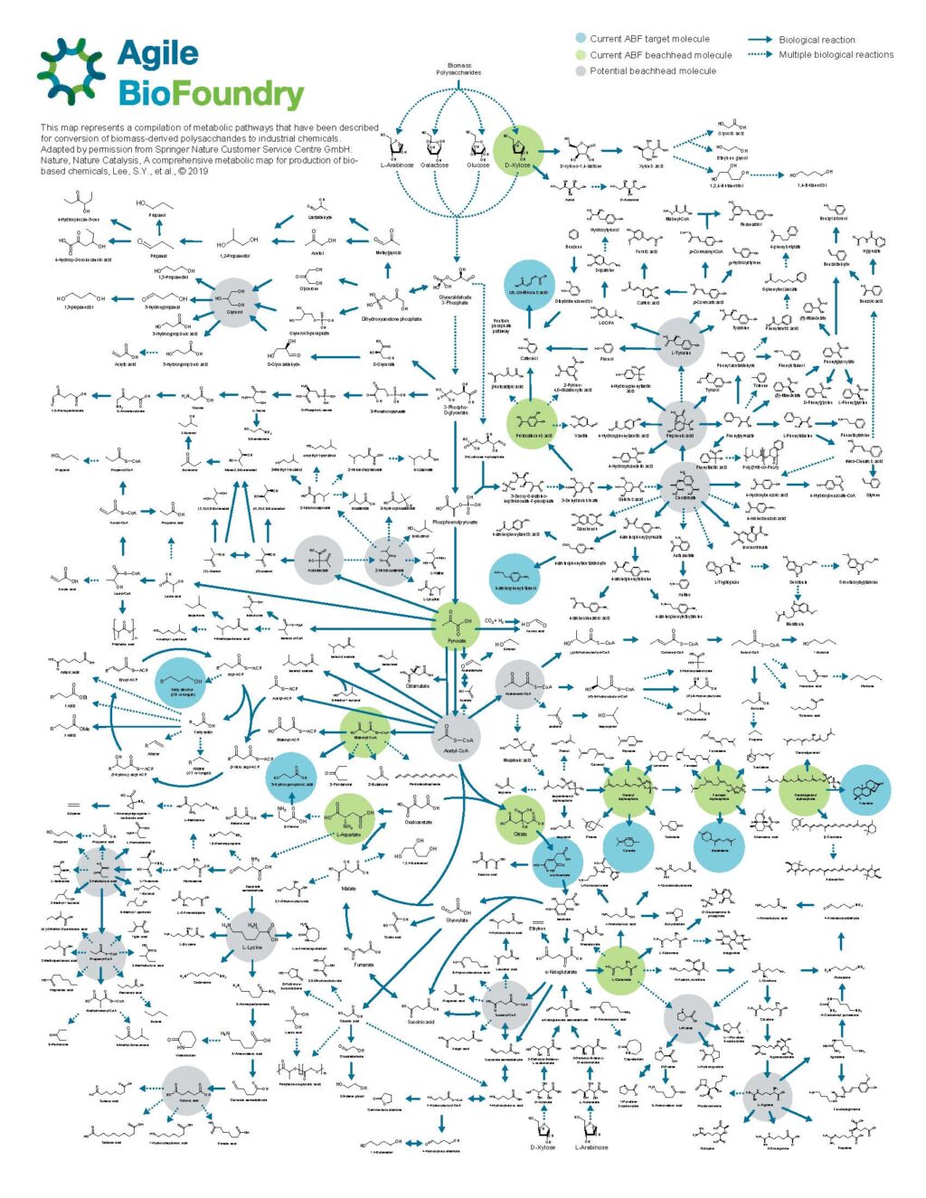 Pathway Development and Evaluation - Agile BioFoundry