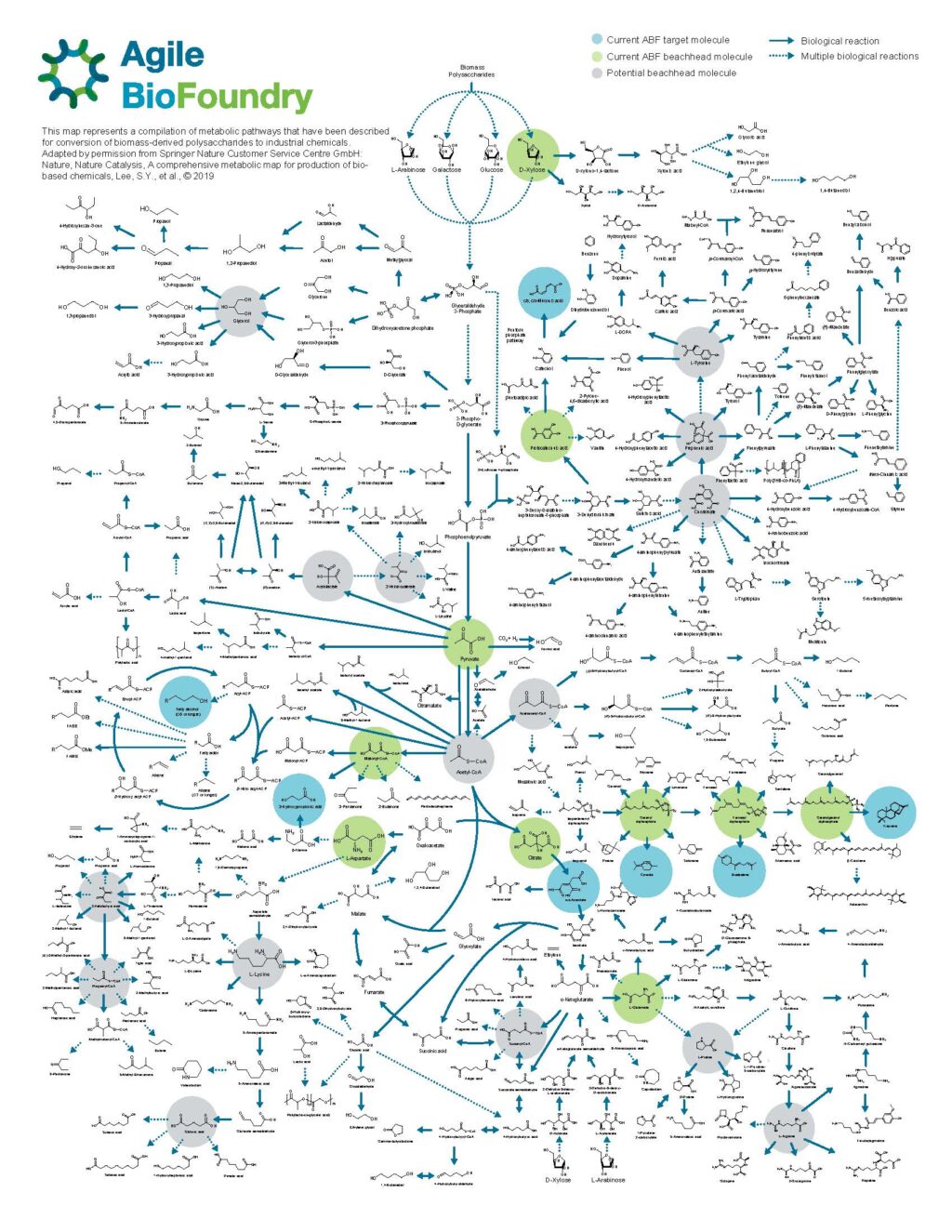 Agile BioFoundry Metabolic Map