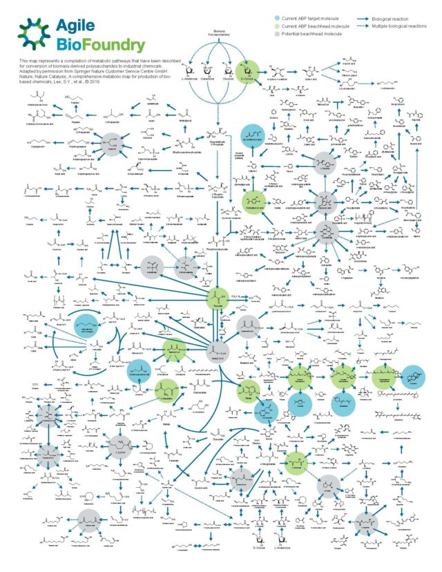 Agile BioFoundry Metabolic Map
