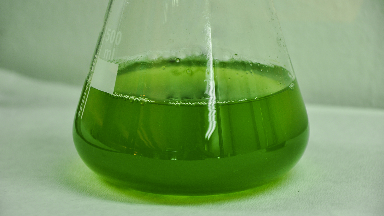 New Approach will Help Develop Genetic Tools for Algae Biomanufacturing ...